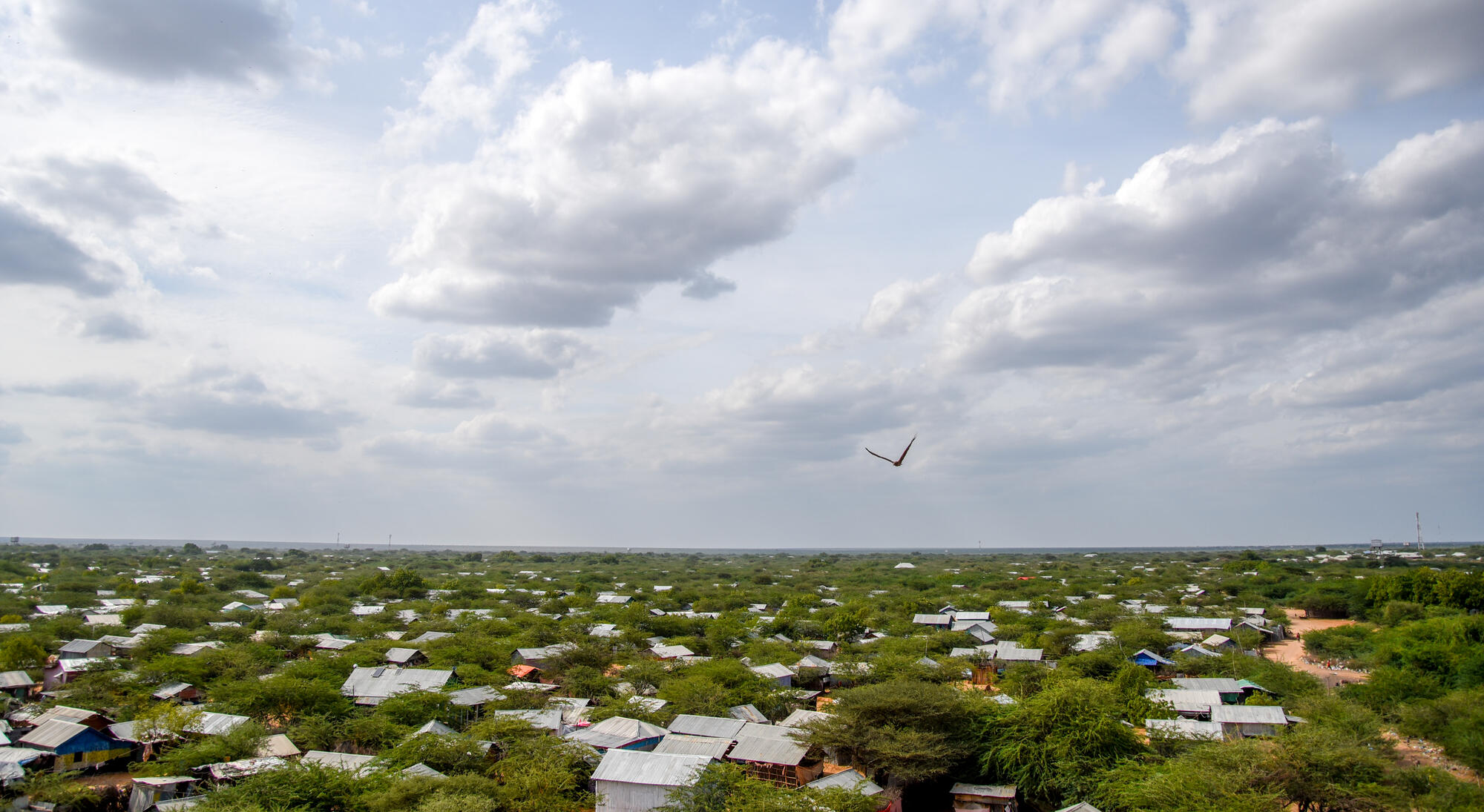 Kenya Urgent Solutions Needed For Refugees As Camps Close MSF kenya-urgent-solutions-needed-for-refugees-as-camps-close-msf
